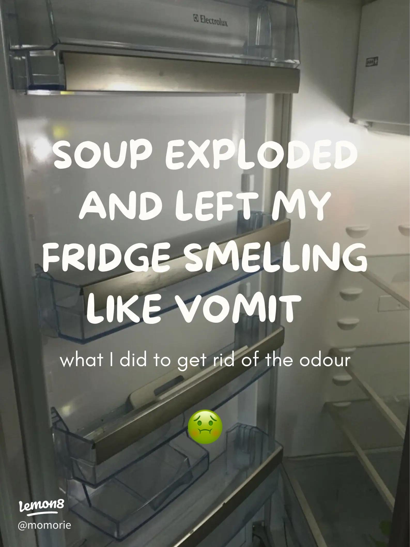 How to Get Rid of Fishy Smell from Refrigerator: Easy & Quick Tips
