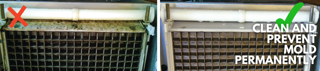 How to Get Rid of Mold in Ice Maker: Quick & Easy Steps