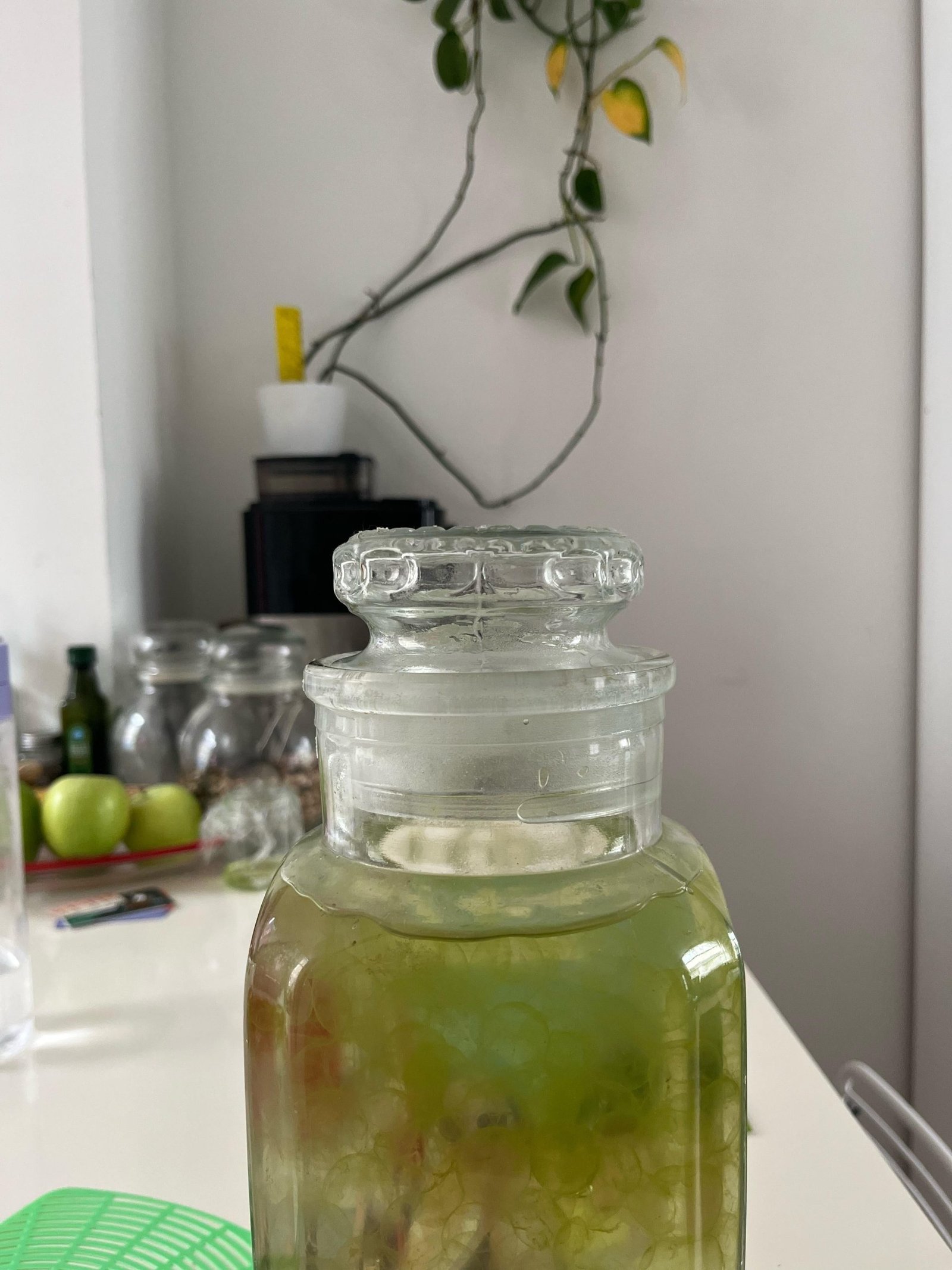 How to Remove a Stuck Lid from a Glass Jar: Easy Quick Fixes